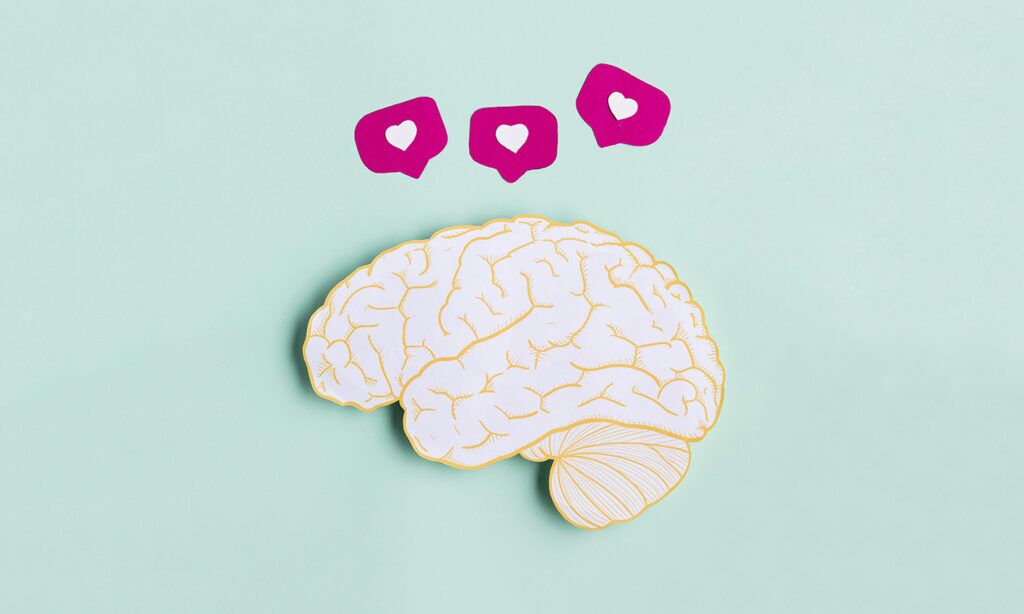 Happiness Chemicals In The Brain (And How To Activate Them!) | Ascent ...