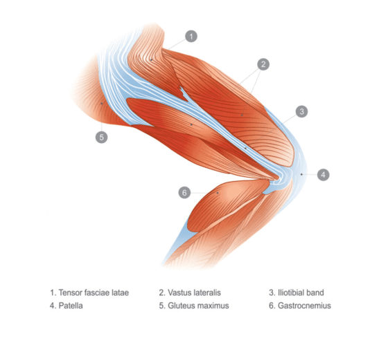 What Really Causes IT Band Syndrome Pain (And How Do You Fix It ...